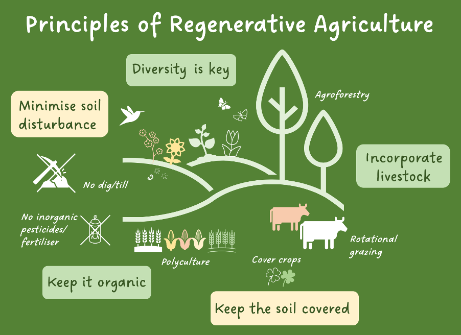 Growing Green: Investing in Regenerative Agriculture for Profit and ...